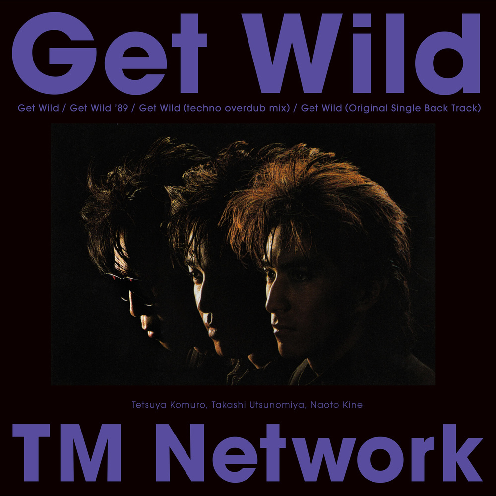 TM NETWORK - Get Wild (Kurokatu Hands Up Bootleg) | Hands Up Dance